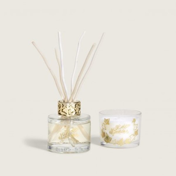 Duo mini Bouquet & Bougie Transparent - Sensaura